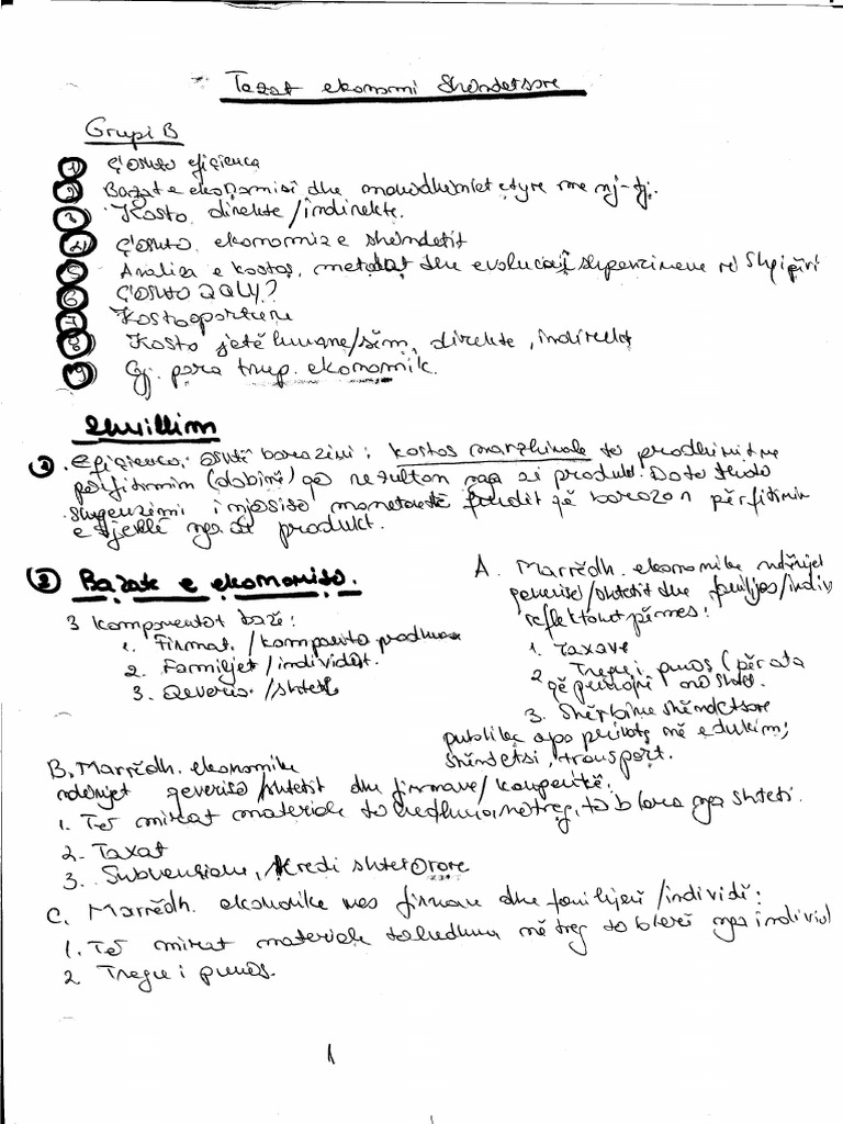 Ekonomia Shendetsore | PDF