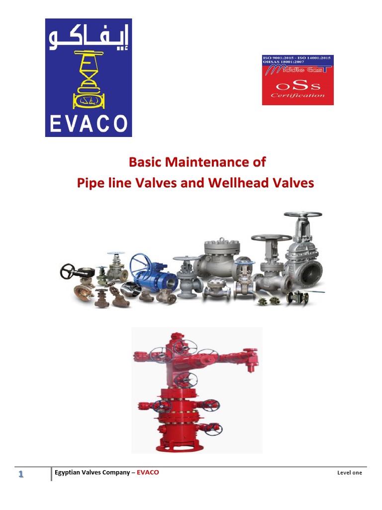 Basic Wellhead Valves | PDF