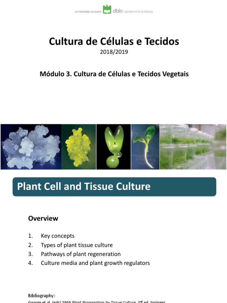 CCT Module 3 01 | PDF | Developmental Biology | Cell Culture