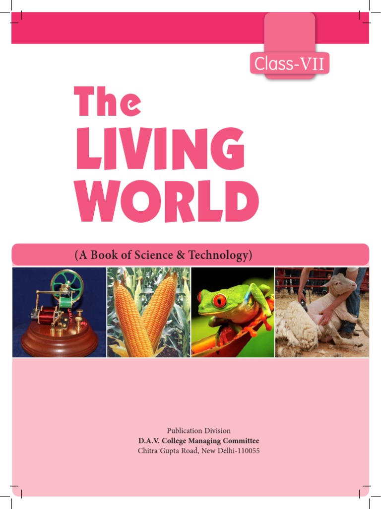 The Living World - Class7 | PDF | Digestion | Stomach