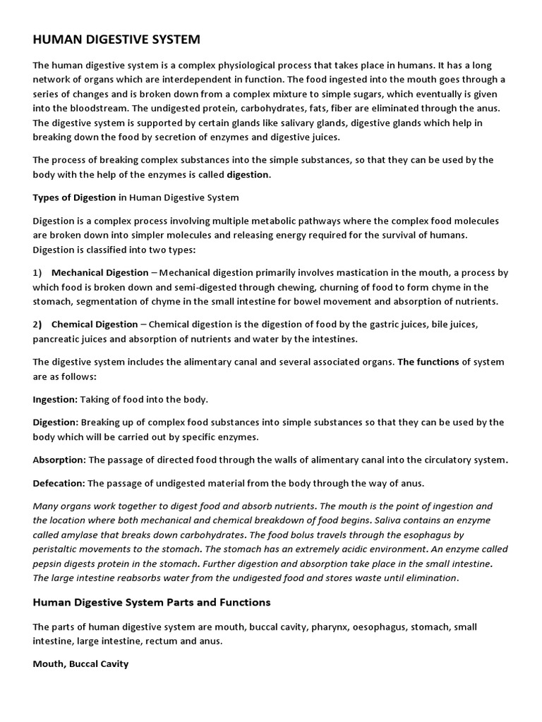 Human Digestive System | PDF | Stomach | Digestion