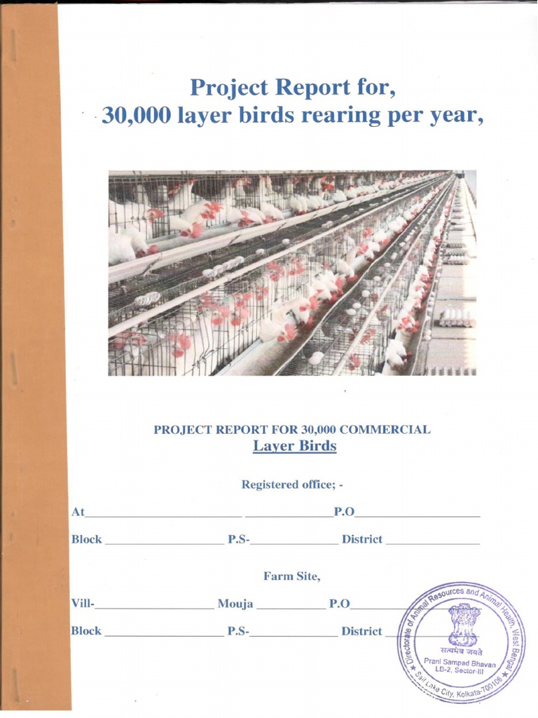 Layer Farm Project Report PDF | PDF
