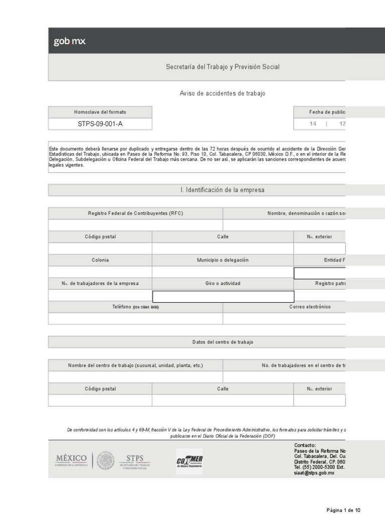 Formato STPS para Reporte de Accidentes | PDF | México | Ciudad de México