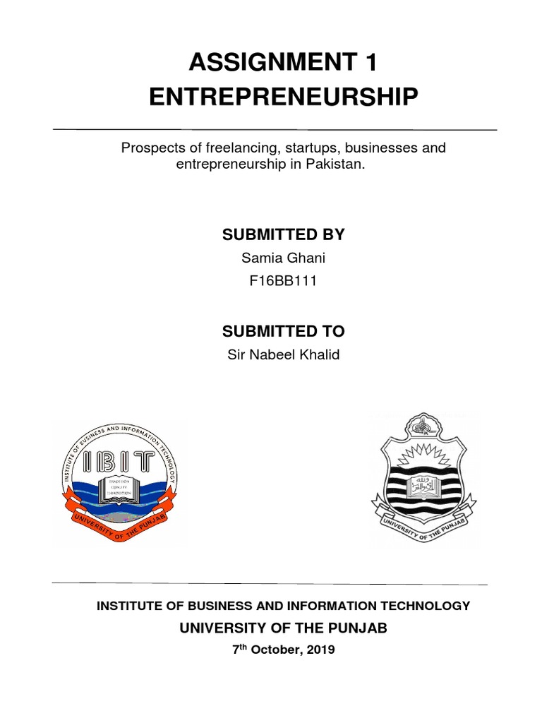 Assignment 1 Entrepreneurship: Submitted by | PDF | Business Incubator ...