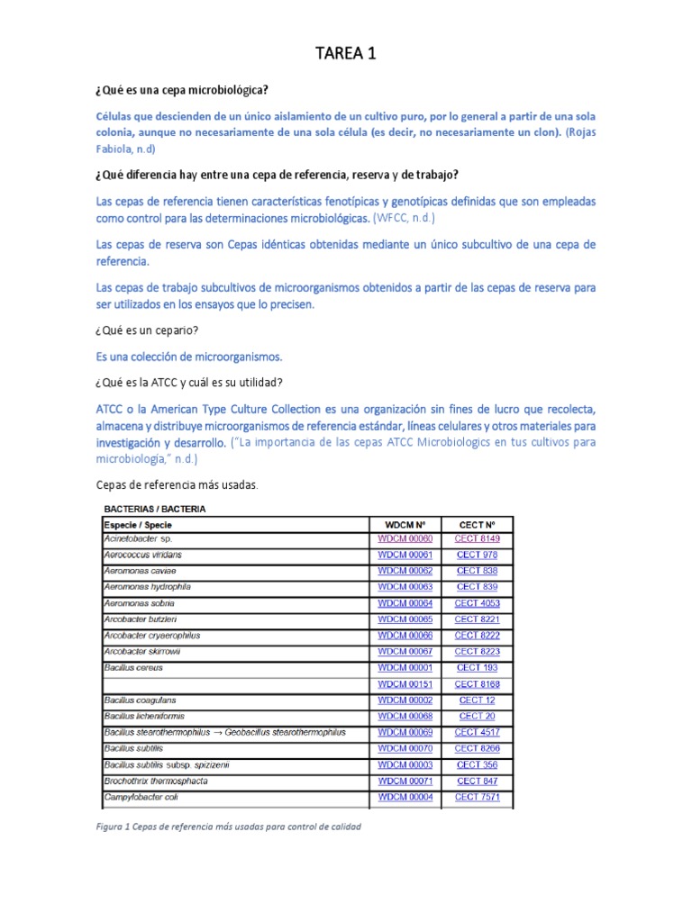 Definición y tipos de cepas microbiológicas | PDF