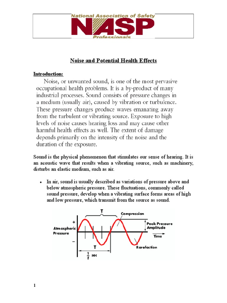 Noise and Potential Health Effects | PDF | Ear | Sound