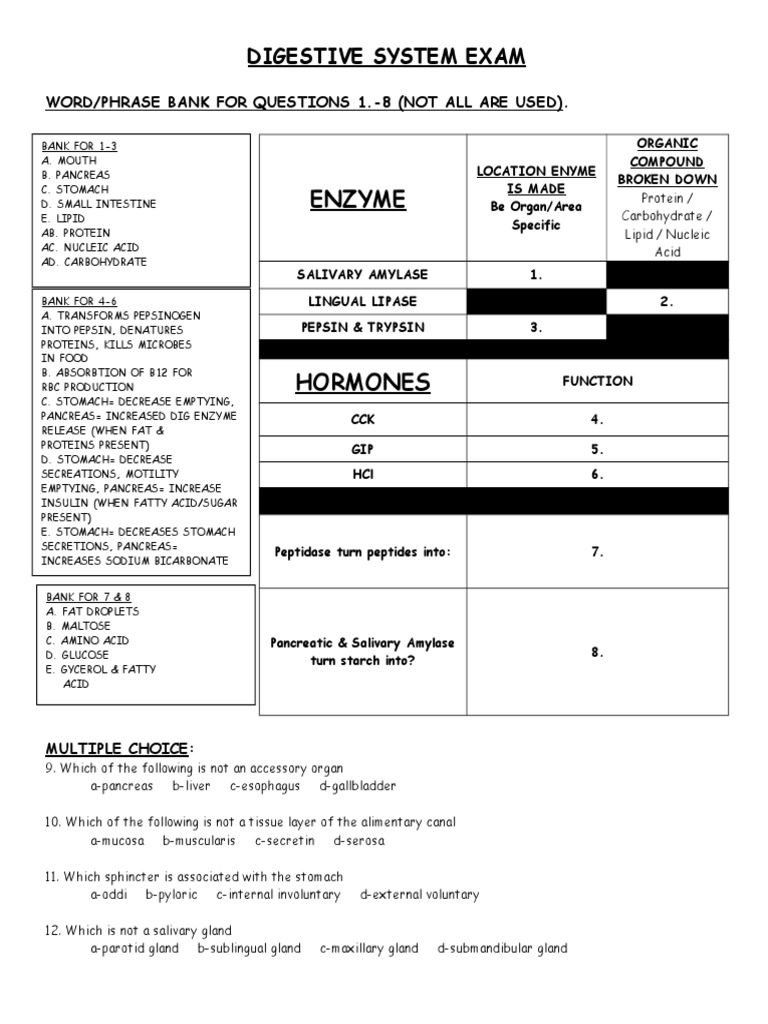 Digestive System Exam Questions | PDF | Stomach | Digestion