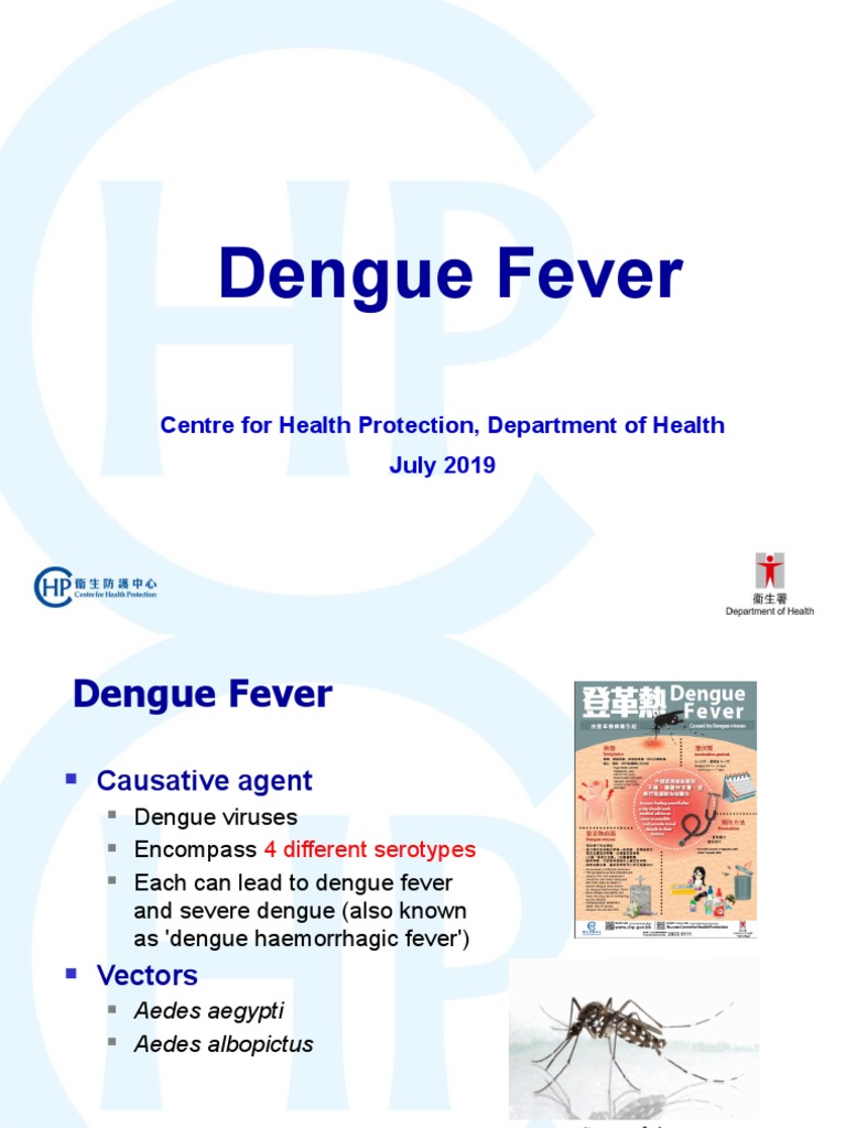 Dengue Fever Eng | PDF | Immunology | Medical Specialties