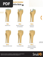 Clasificación Frykman de Fracturas Radiales | PDF