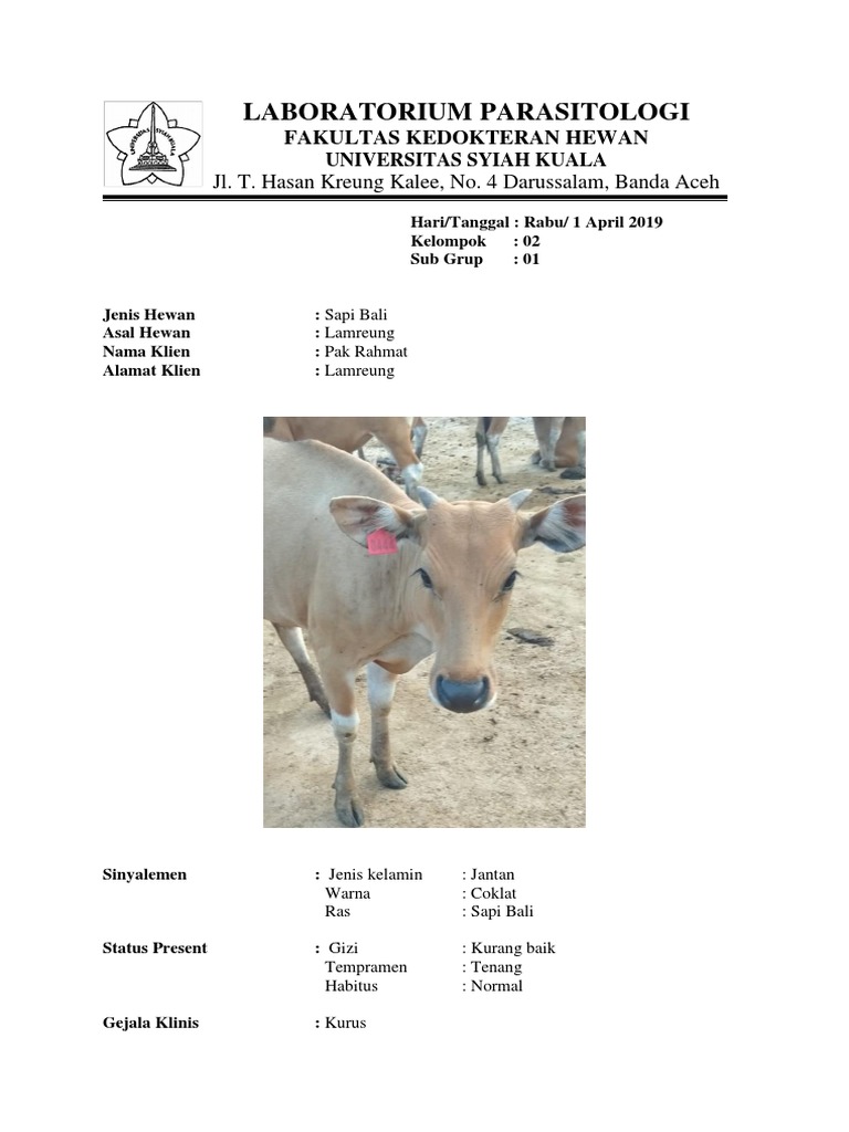 1mei Ambulator Koas Parasitologi SAPI2 | PDF
