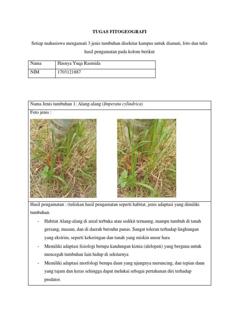 Adaptasi Tumbuhan | PDF