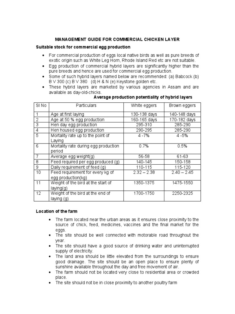 Commercial Layer Chicken Management Guide | PDF | Chicken | Egg As Food