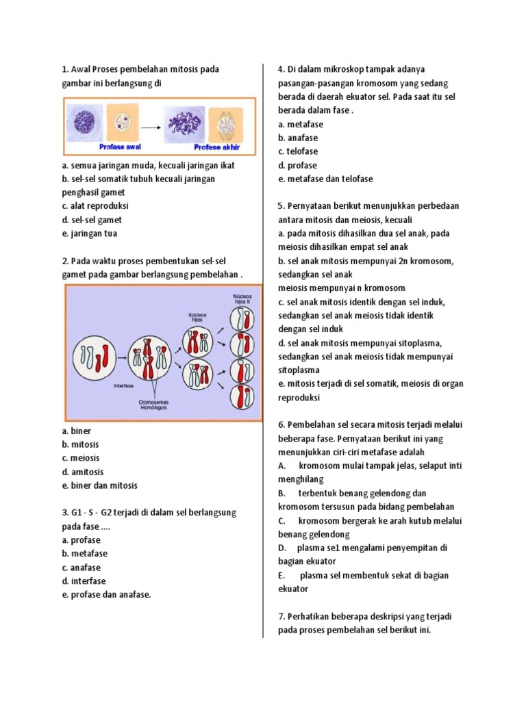 Latihan Soal Pembelahan Sel | PDF