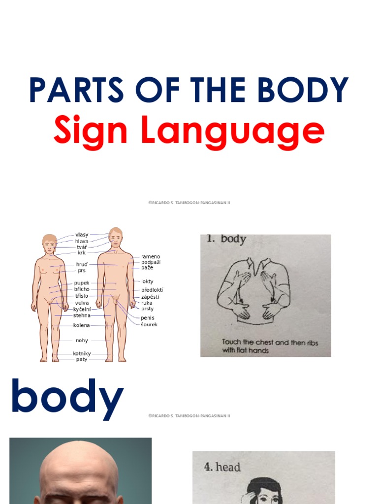 Sign Body Parts | PDF