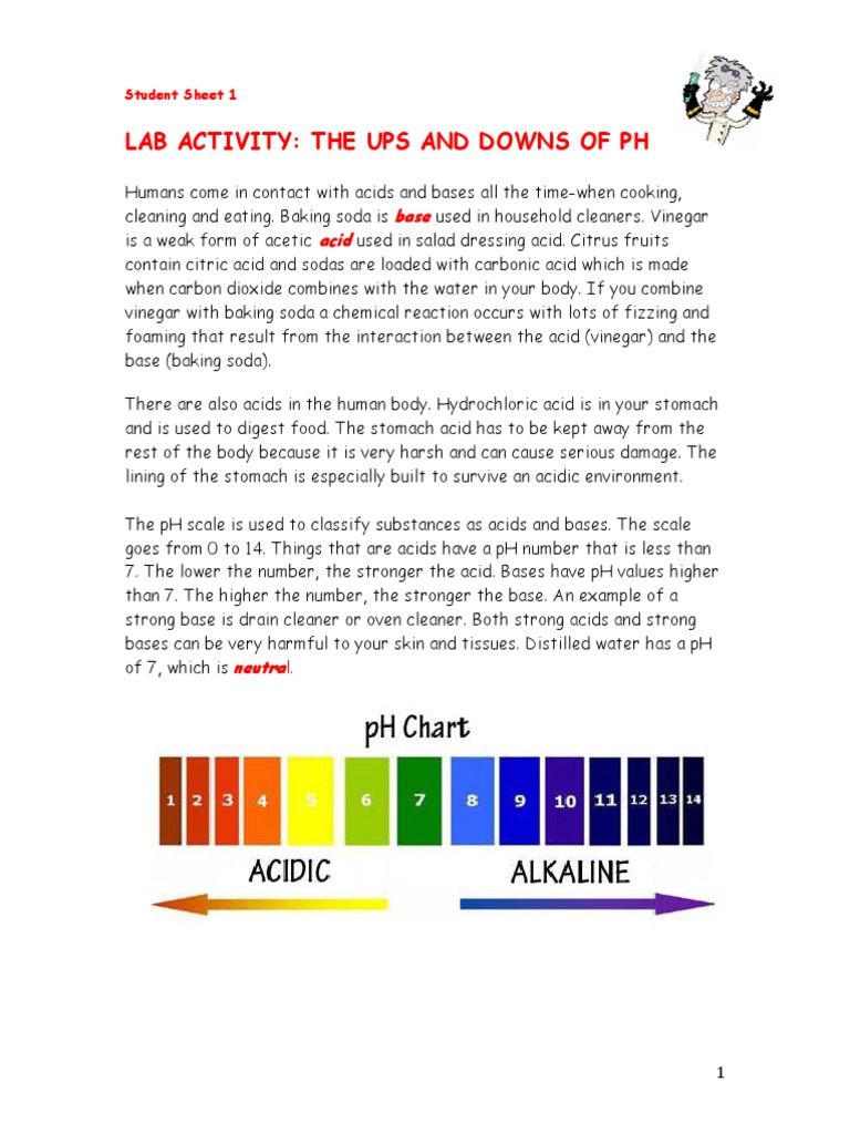 Lab Activity: The Ups and Downs of PH: Base Acid | PDF | Ph | Acid