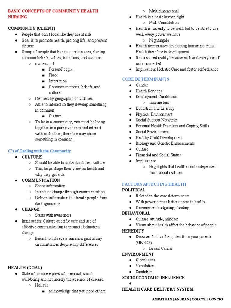 Basic Concepts of Community Health Nursing | PDF | Health Care | Public ...