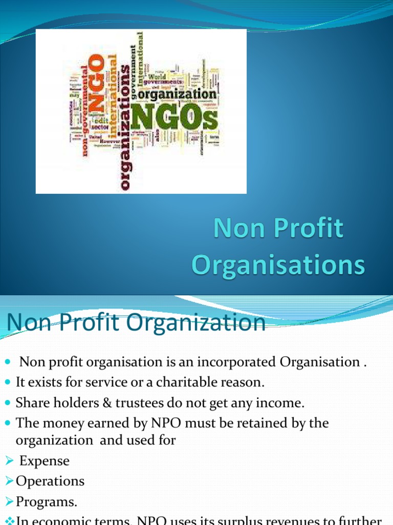 Npo | PDF | Nonprofit Organization | Charitable Organization