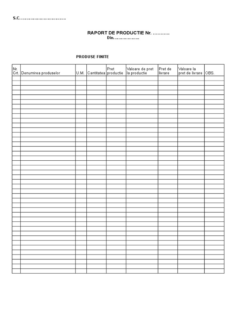 Raport de Productie | PDF
