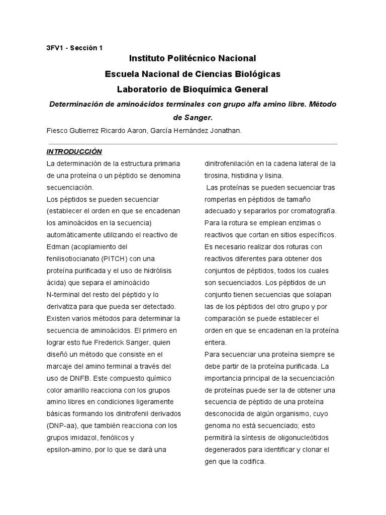 Pract 3 Metodo de Sanger | PDF | Péptido | Proteínas