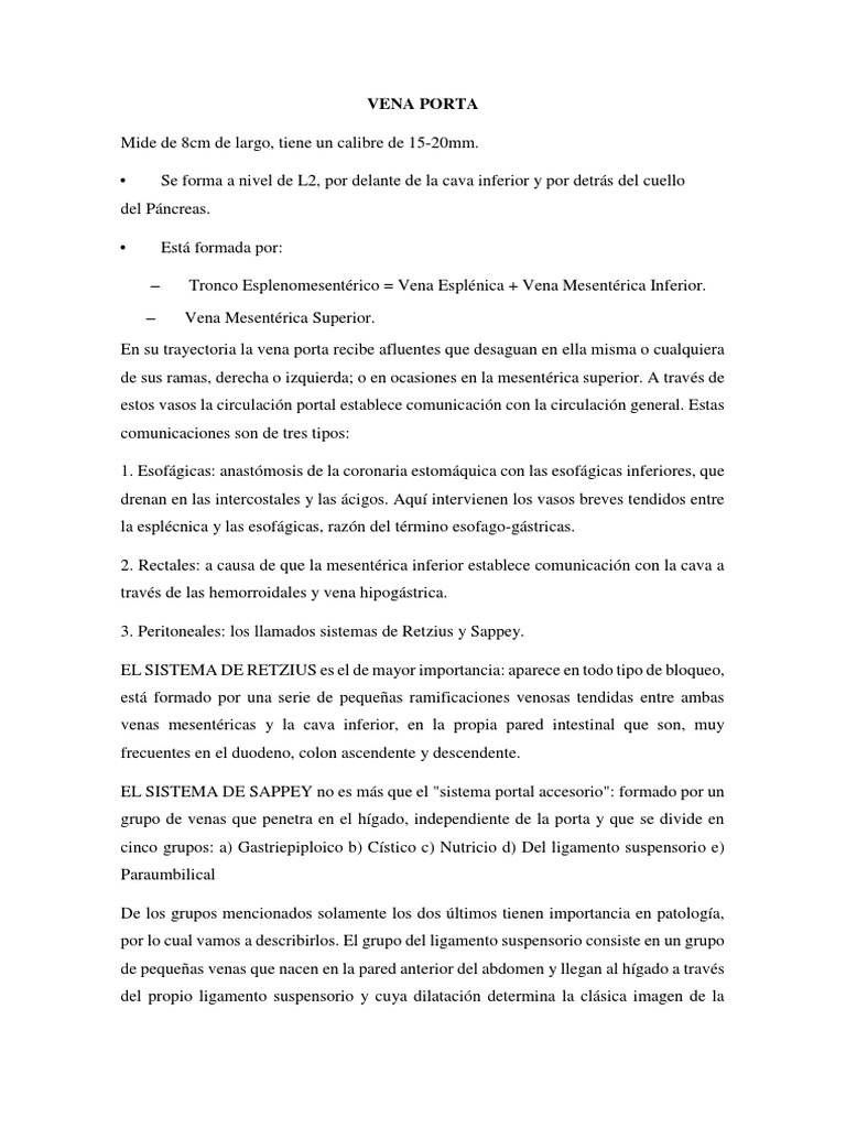 Anatomía y Función de la Vena Porta | PDF | Hígado | Vena