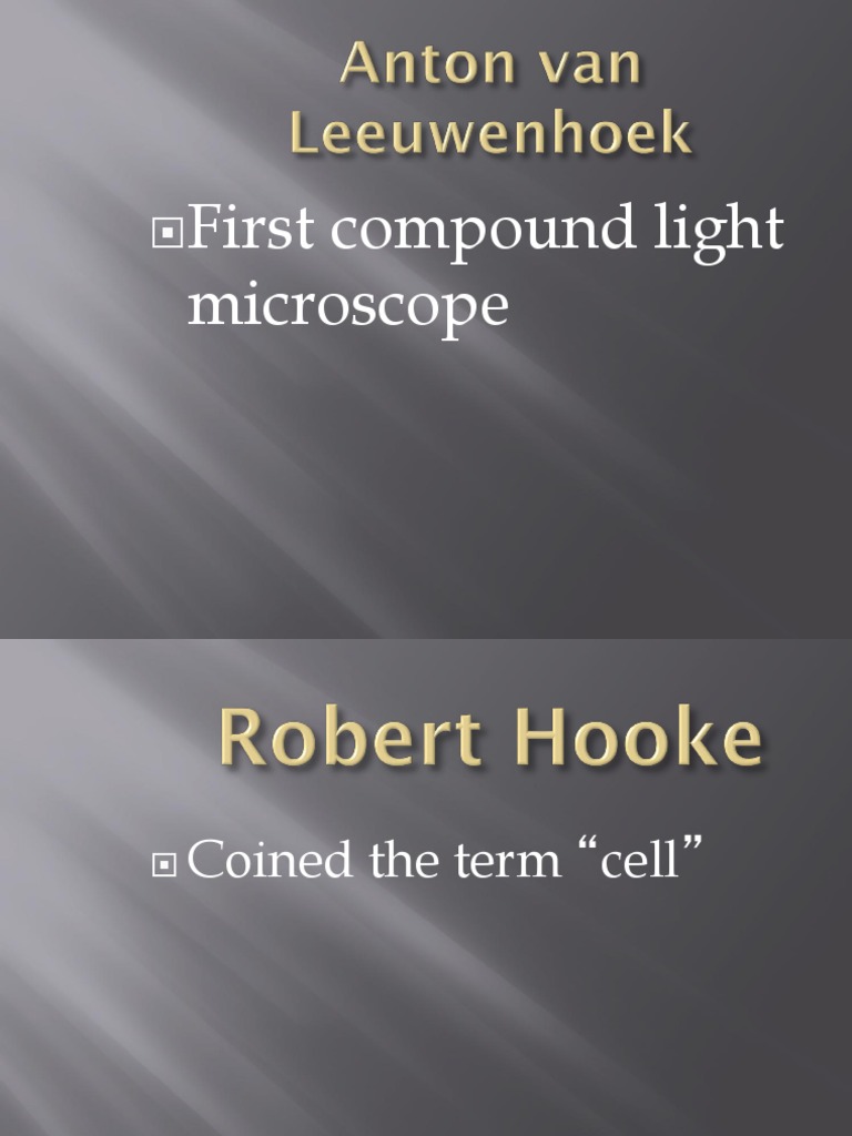 First Compound Light Microscope | PDF | Endoplasmic Reticulum | Ribosome