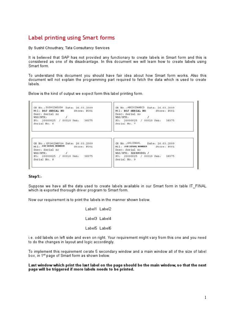 Creating Dynamic Labels Using SAP Smart Forms | PDF | Computer ...