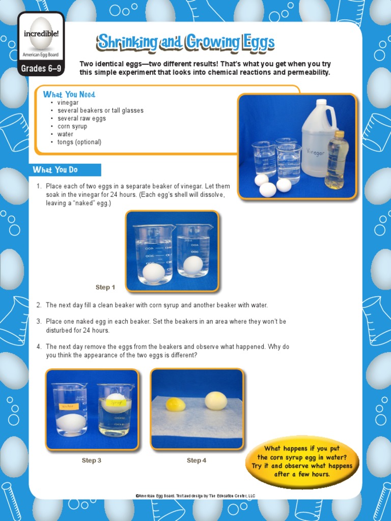 Shrinking And Growing Eggs What You Need Pdf Osmosis Egg As Food