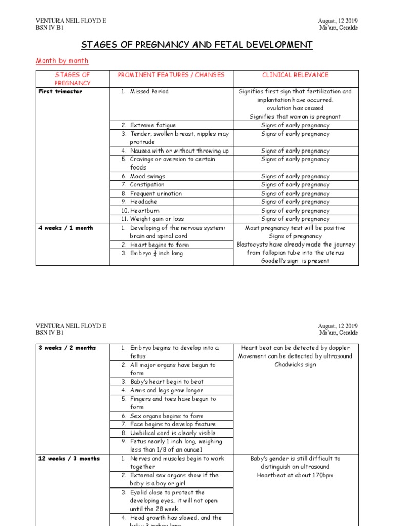 Stages of Pregnancy and Fetal Development | PDF | Pregnancy | Human ...