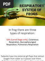 Frog Respiratory System Explained | PDF | Cellular Respiration | Larynx