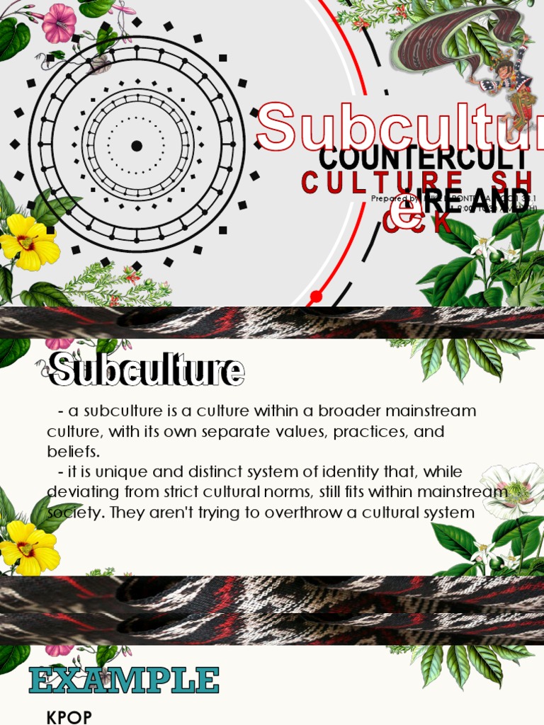 Subculture, Counterculture and Culture Shock | PDF | Culture (General ...