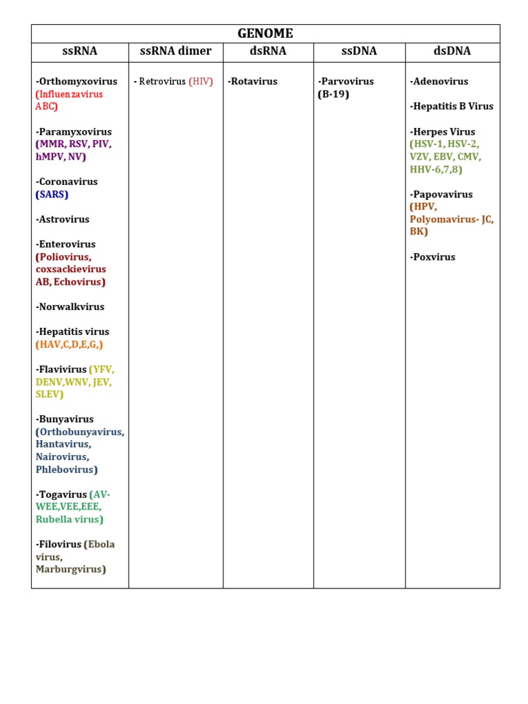 Ssrna Ssrna Dimer Dsrna Ssdna Dsdna: Genome Genome | PDF ...