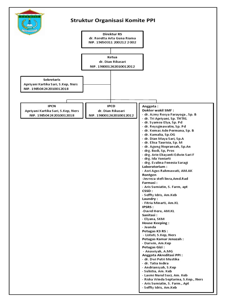 Struktur Organisasi Komite PPI | PDF