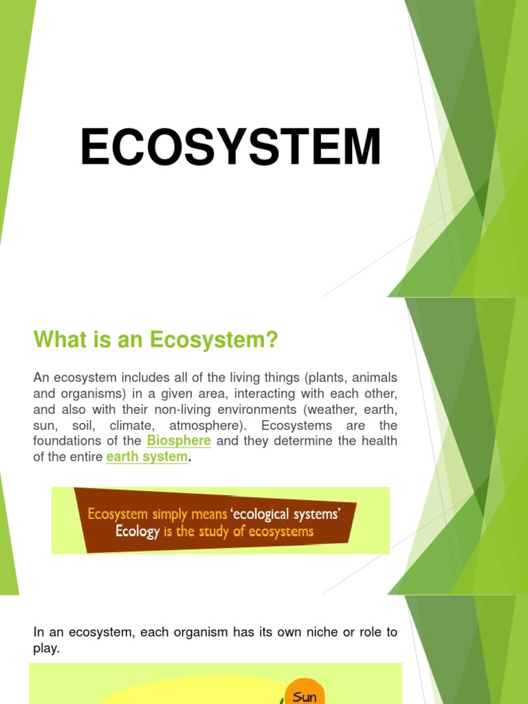 Ecosystem Presentation | PDF | Food Web | Ecosystem