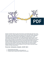 Sinaps dan Neurotransmitter: Fungsi dan Mekanisme | PDF