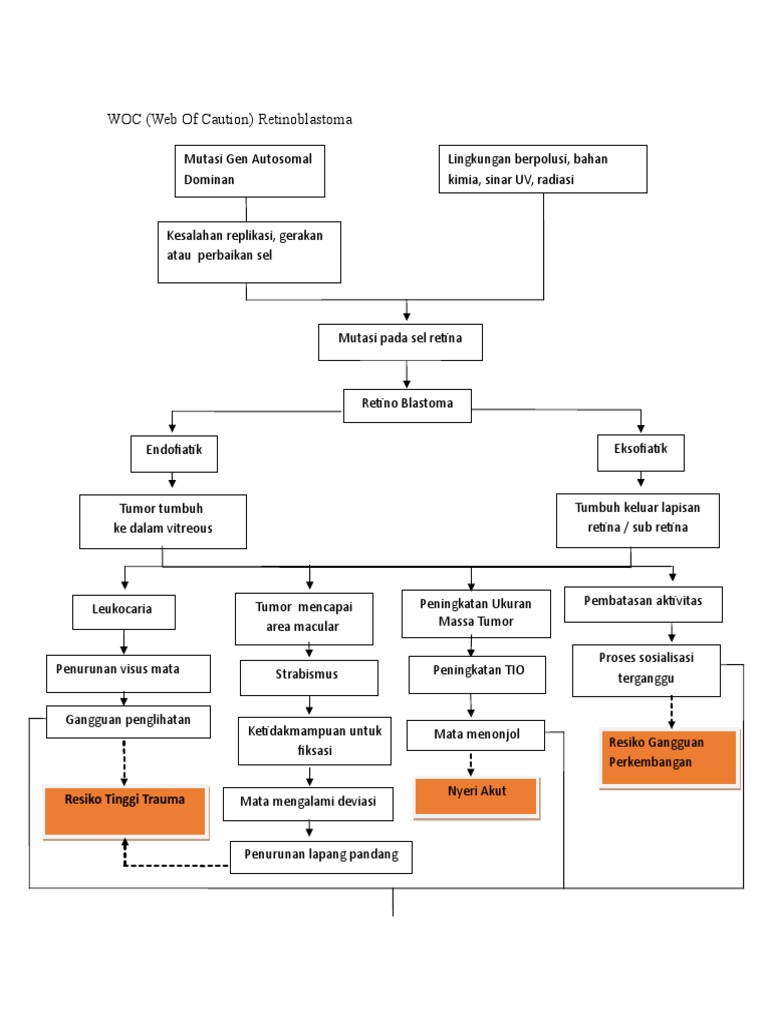 WOC Retinoblastoma | PDF