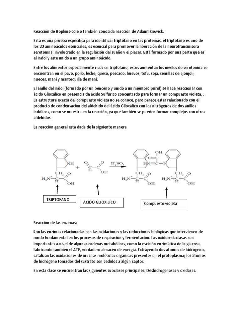 Identificación de triptófano mediante reacción de Hopkins-Cole | PDF