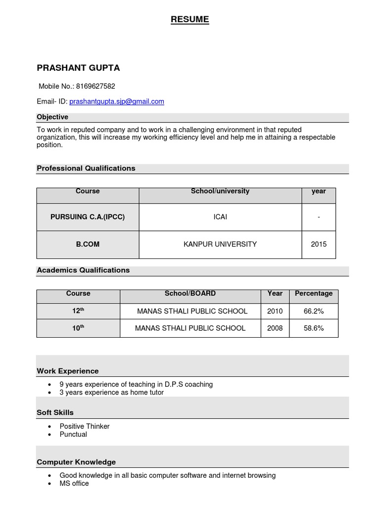 Prashant Bhaii Resume | PDF