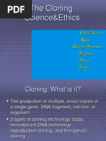 Clone Worksheet | PDF