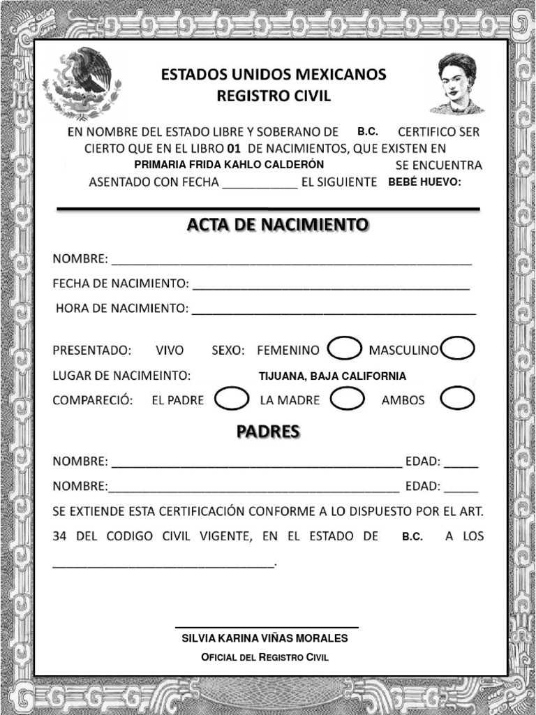 Acta De Nacimiento Simple En Blanco