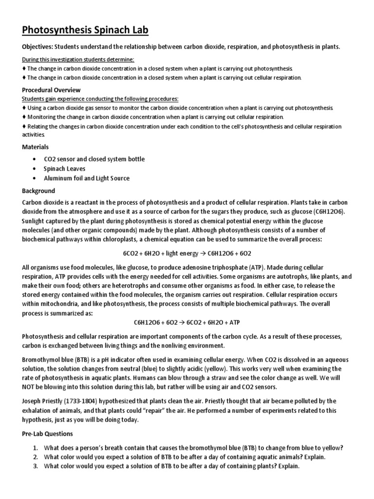Photosynthesis Spinach Lab | PDF | Photosynthesis | Cellular Respiration