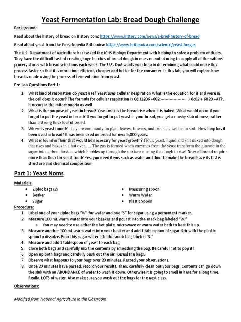 Yeast Fermentation Lab | PDF | Breads | Yeast