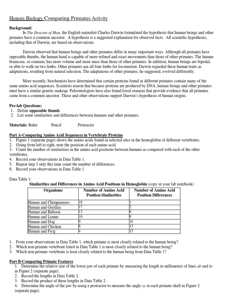 Lab Assesment Number 2 | PDF | Human | Evolution