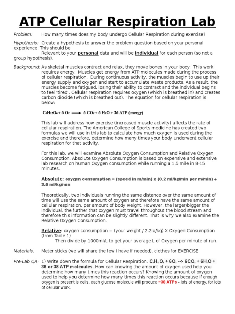 Determining Cellular Respiration Rates Through Measuring Oxygen ...