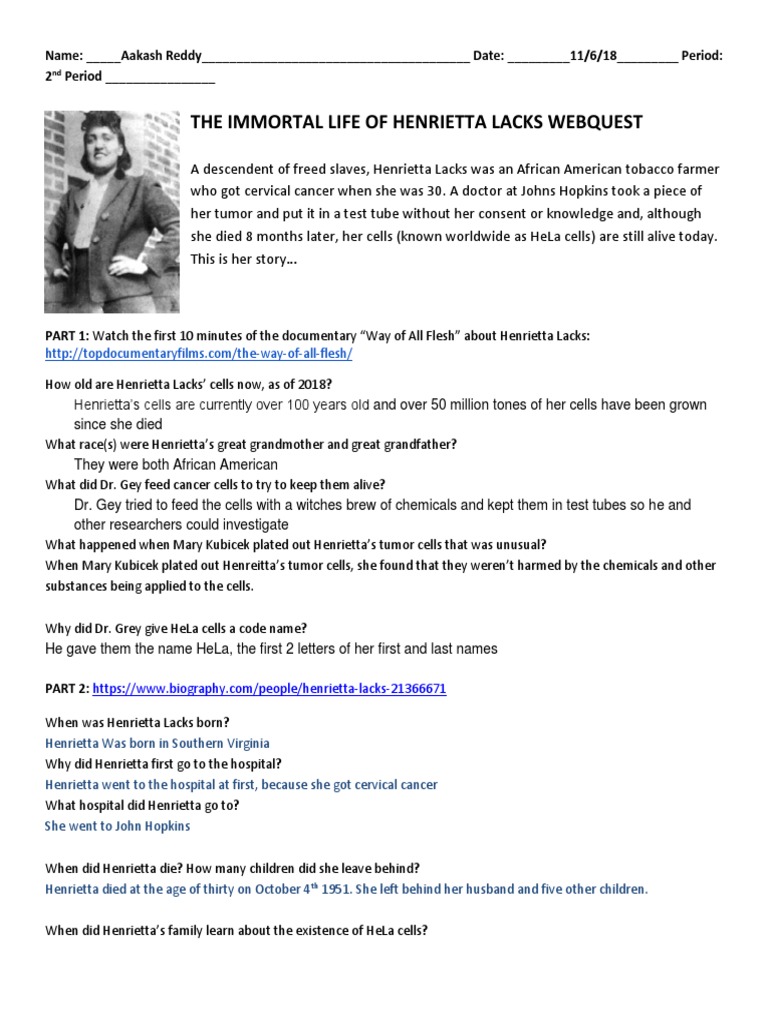 Henrietta Lacks Webquest | PDF | He La | Cancer