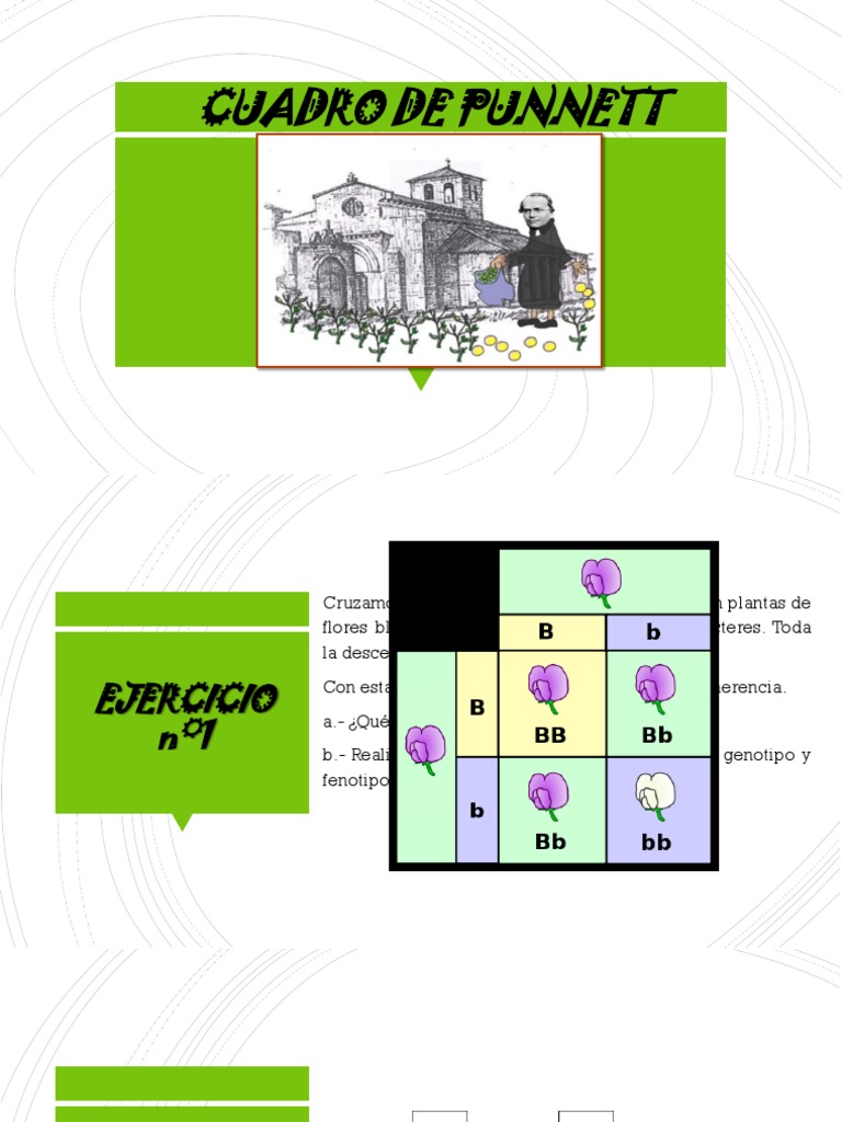 Cuadro de Punett | PDF