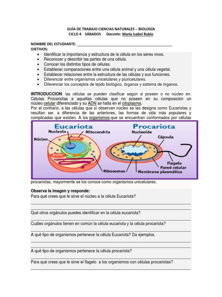 Hojas De Trabajo Sobre La Unión De Las Partes De La Biología