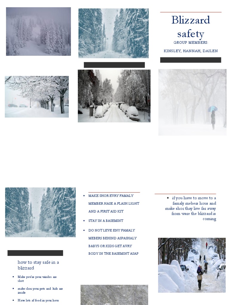 Blizzard Safety: How To Stay Safe in A Blizzard | PDF