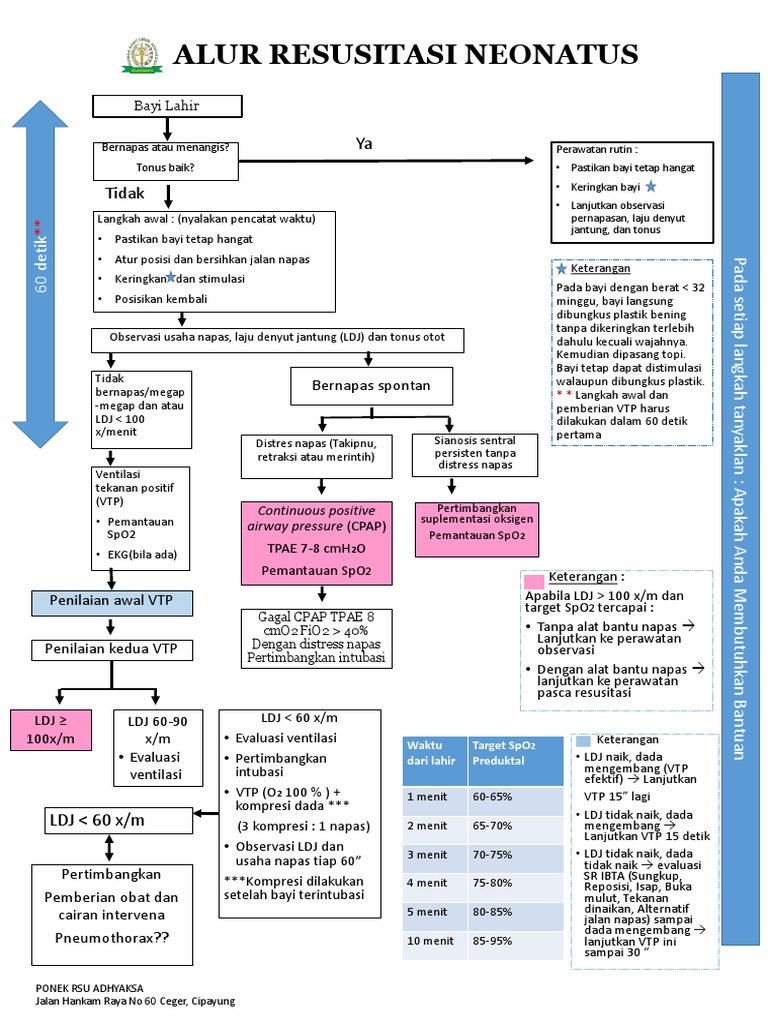Alur Resusitasi Neonatus | PDF