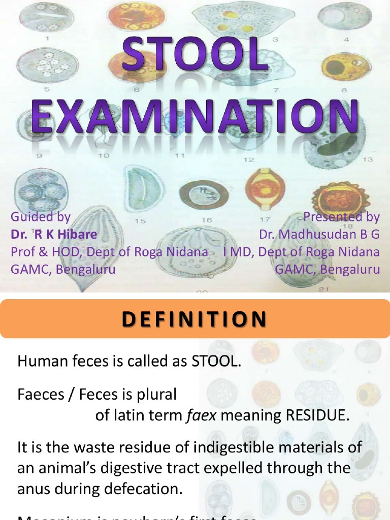 Stool Examination | PDF