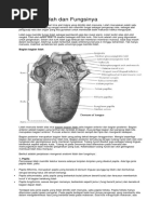 Struktur dan Fungsi Anatomi Mulut | PDF